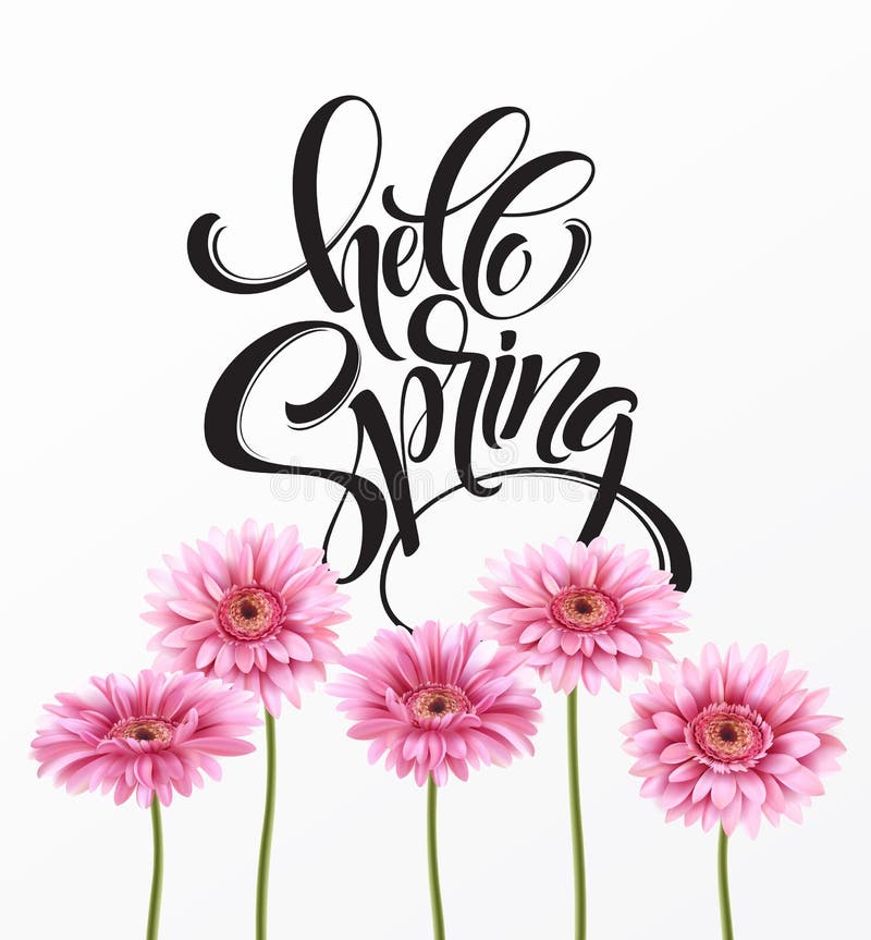 Gerbera Flower Background and Hello Spring Lettering. Vector ...