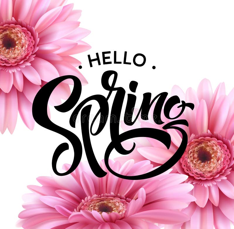 Gerbera Flower Background and Spring Lettering. Vector Illustration ...