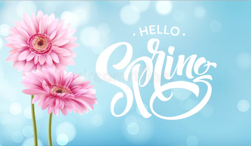 Gerbera Flower Background and Spring Lettering. Vector Illustration ...