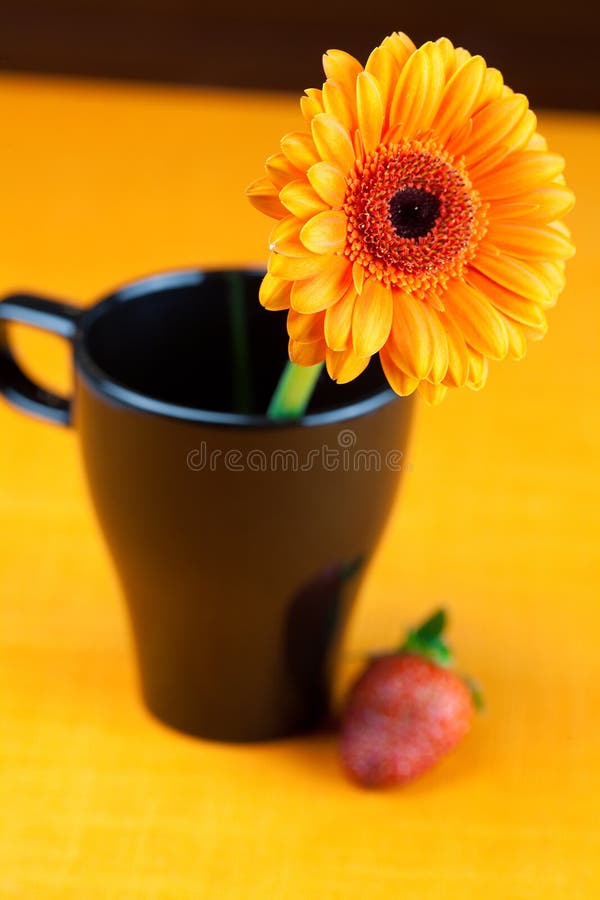 Gerbera Flower in Black Cup of the Orange Fabric Stock Image - Image of ...