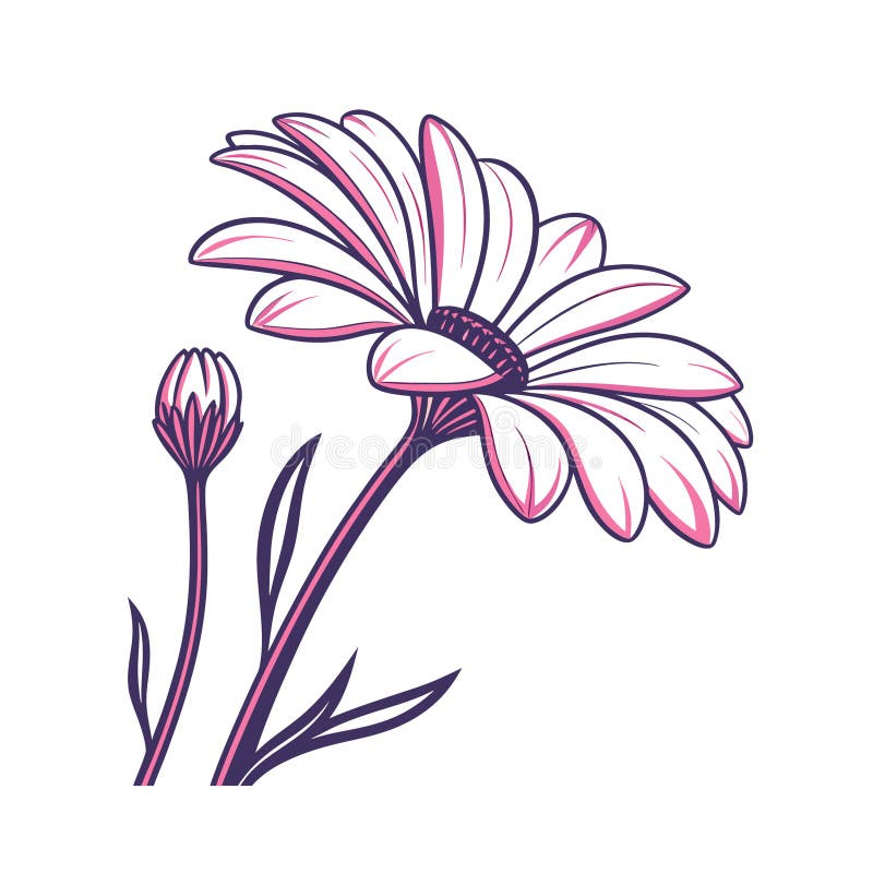 Gerbera Flower Bold Outline Design One Stock Illustration ...