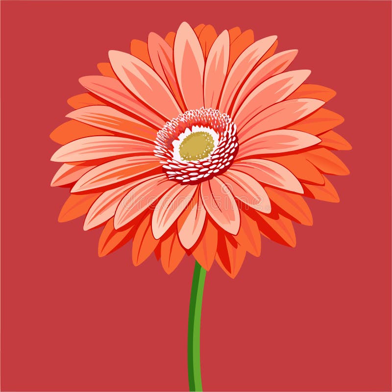 Gerbera Flower Isolated on Background. Vector Illustration Stock Vector ...
