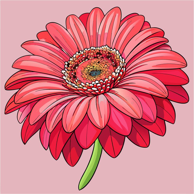 Gerbera Flower Isolated on Background. Vector Illustration Stock Vector ...