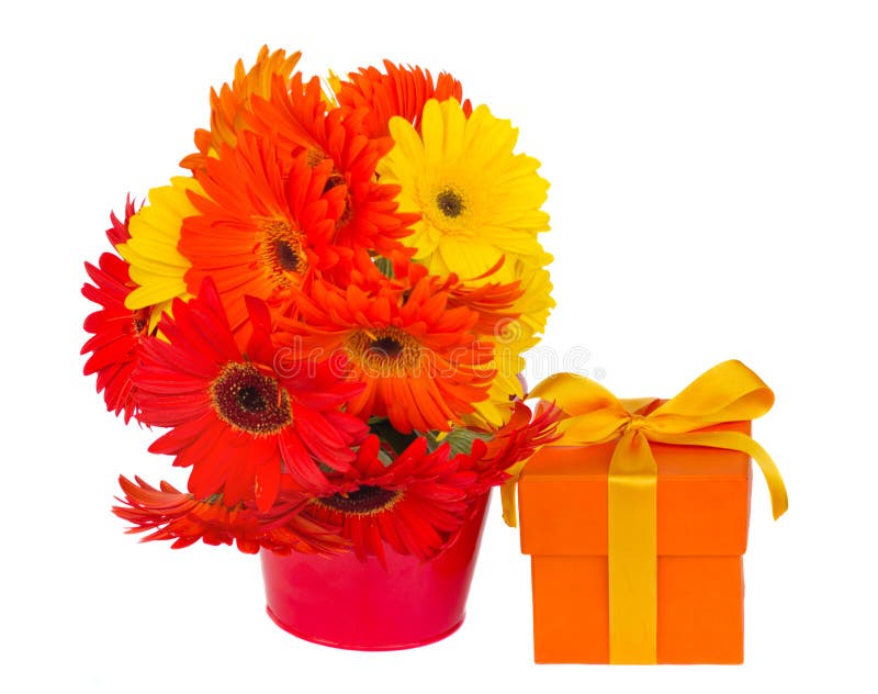Gerbera Flowers Pot Gift Box Stock Photos - Free & Royalty-Free Stock ...