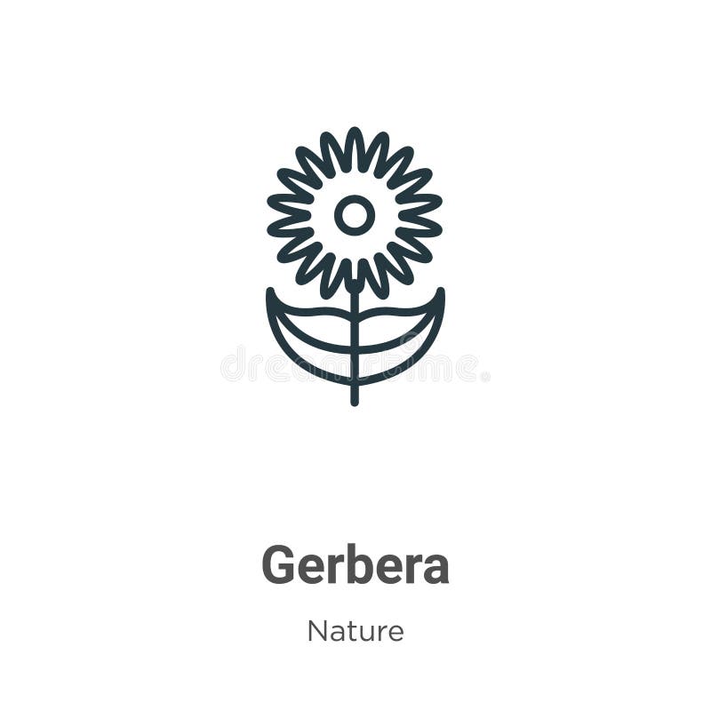 Gerbera Outline Stock Illustrations – 1,045 Gerbera Outline Stock ...