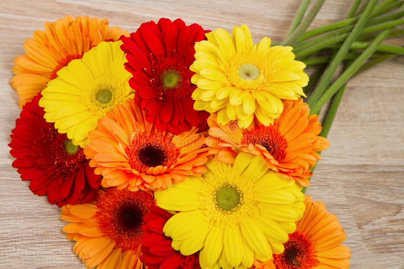 Gerberas flowers stock image. Image of detail, gift, flower - 37158499
