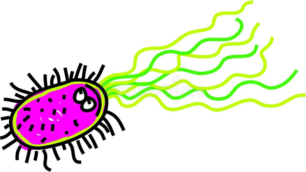Pink Germs Stock Illustrations – 981 Pink Germs Stock Illustrations ...