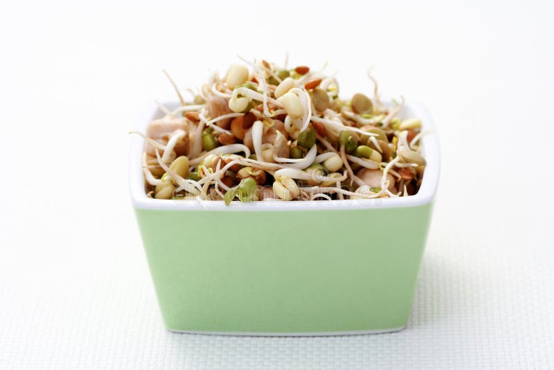 Greenshell mussels stock photo. Image of zealand, fishing - 13587134