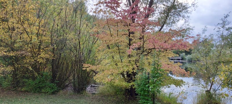 German autumn forest stock image. Image of spring, autumn - 200554717