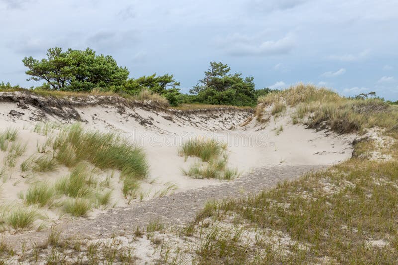 German Baltic Coast with Algae, Seagrass and Sand Dunes, Grass and Blue ...