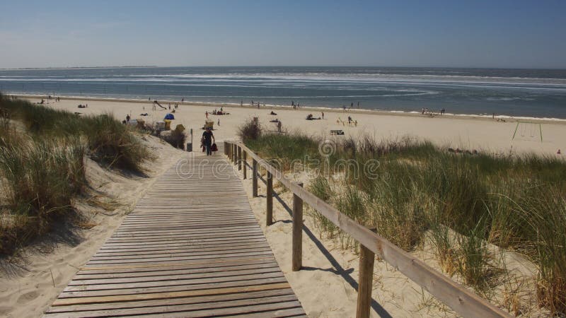 German Beach stock photo. Image of light, grass, coastal - 5258234