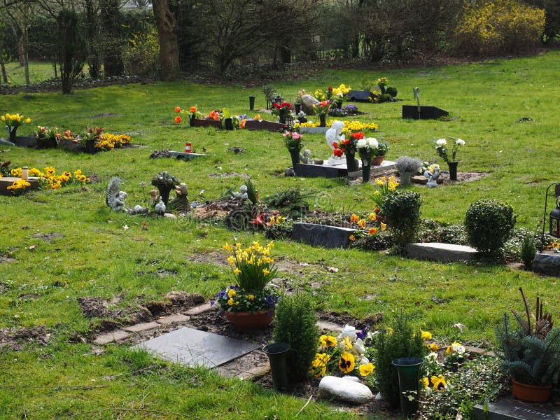 Cemetery in Spring in the Sun Stock Photo - Image of spring, field ...