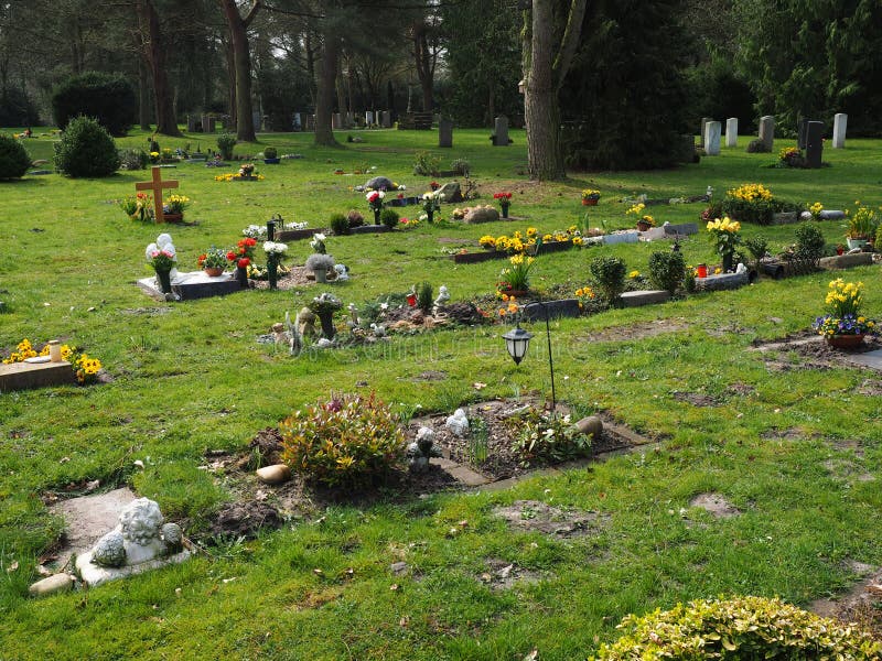 Cemetery in Spring in the Sun Stock Image - Image of tulips, spring ...