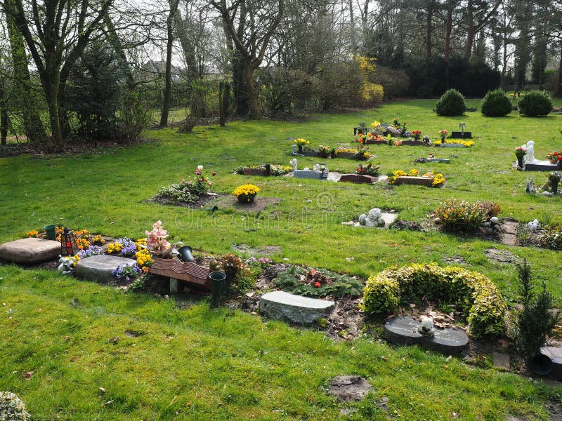 Cemetery in Spring in the Sun Stock Image - Image of sunny, grave ...