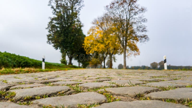 German Cobblestone Street in the Autumn Stock Image - Image of autumn ...