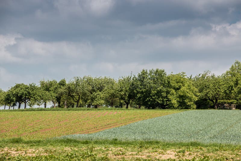 German Countryside with Forests, Fields and Meadows Stock Photo - Image ...