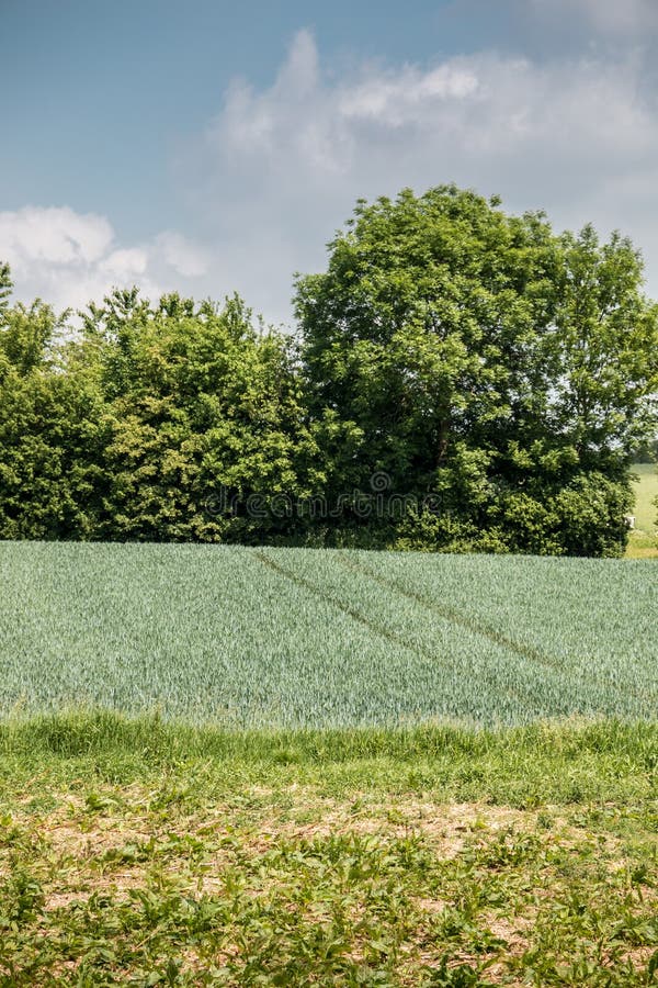 German Countryside with Forests, Fields and Meadows Stock Image - Image ...