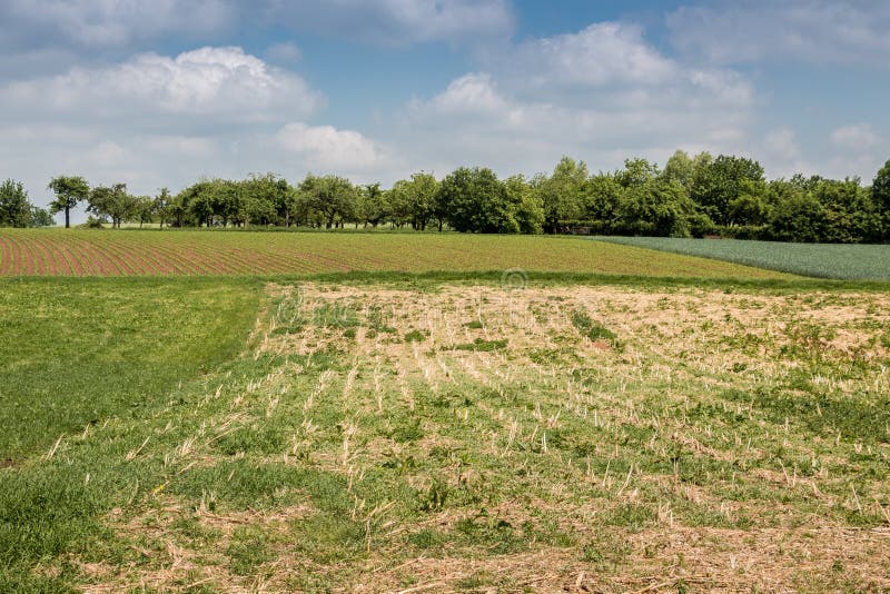 German Countryside with Forests, Fields and Meadows Stock Image - Image ...
