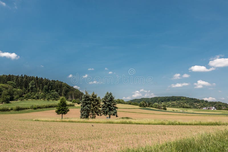 German Countryside with Forests, Fields and Meadows Stock Image - Image ...