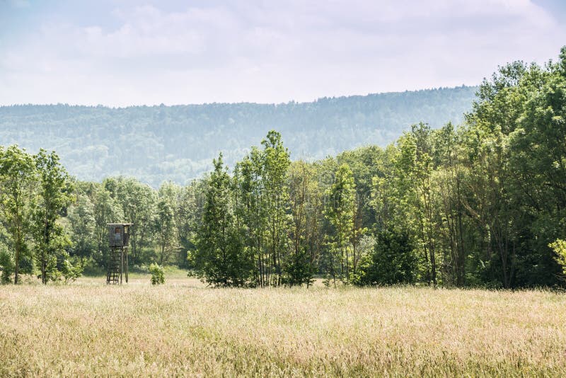 German Countryside with Forests, Fields and Meadows Stock Image - Image ...