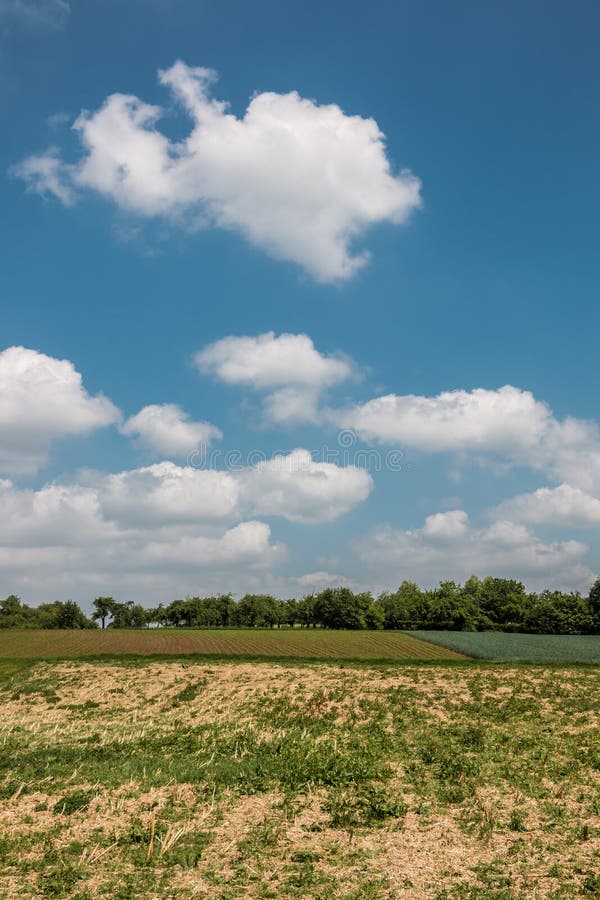 German Countryside with Forests, Fields and Meadows Stock Photo - Image ...
