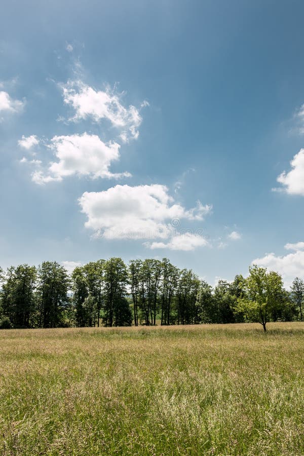 German Countryside with Forests, Fields and Meadows Stock Image - Image ...