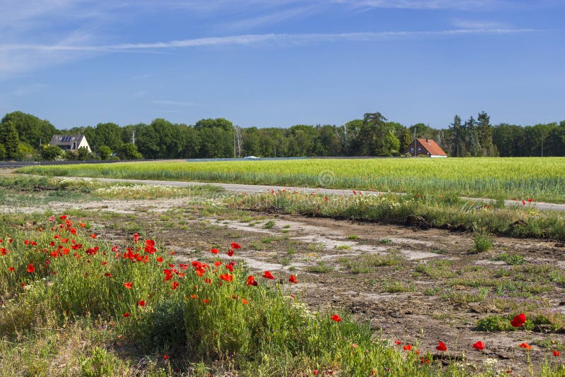 German Countryside Landscape, Lower Rhine Region Stock Photo - Image of ...