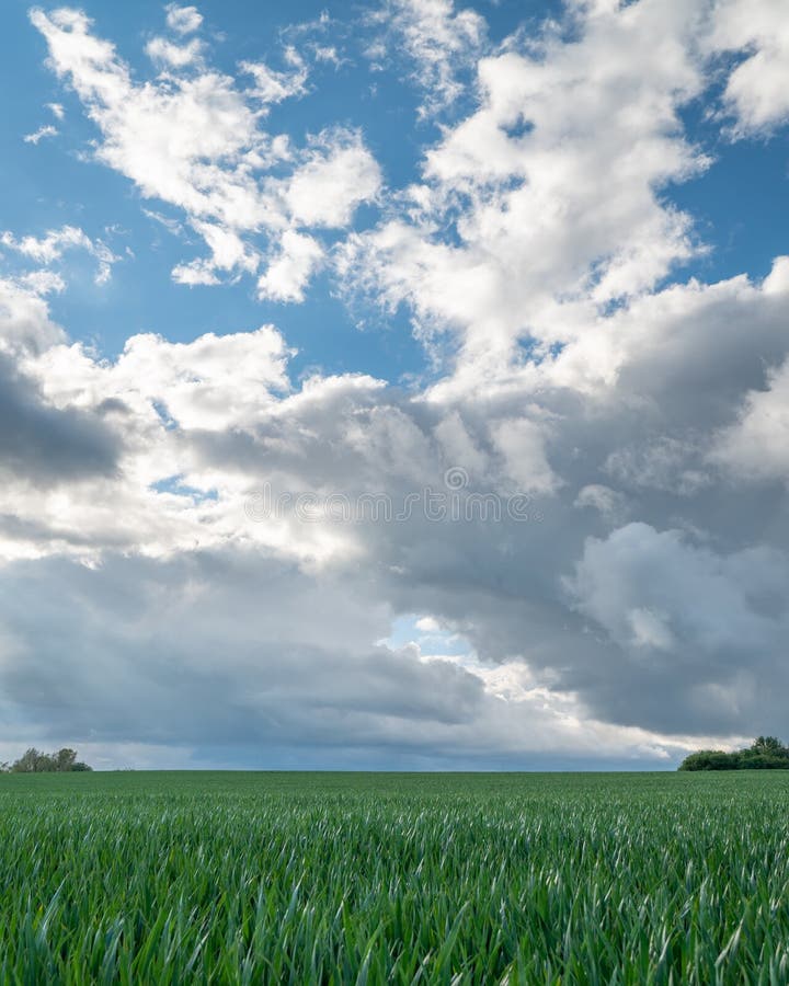 German field stock photo. Image of german, hill, rheingau - 156507590
