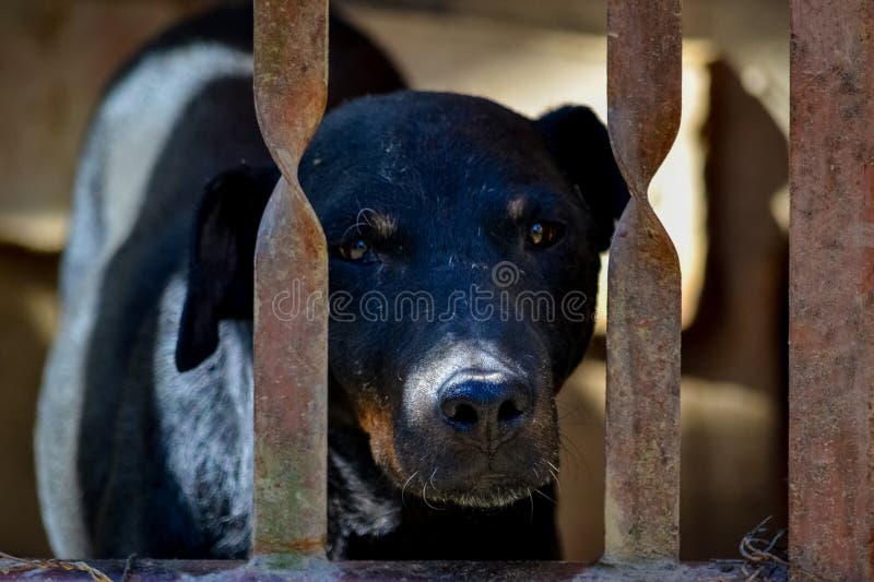 Nlt Stock Photos - Free & Royalty-Free Stock Photos from Dreamstime