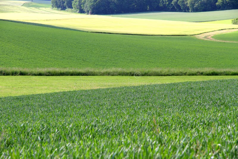 German Landscape stock image. Image of meadow, land, farming - 27711091