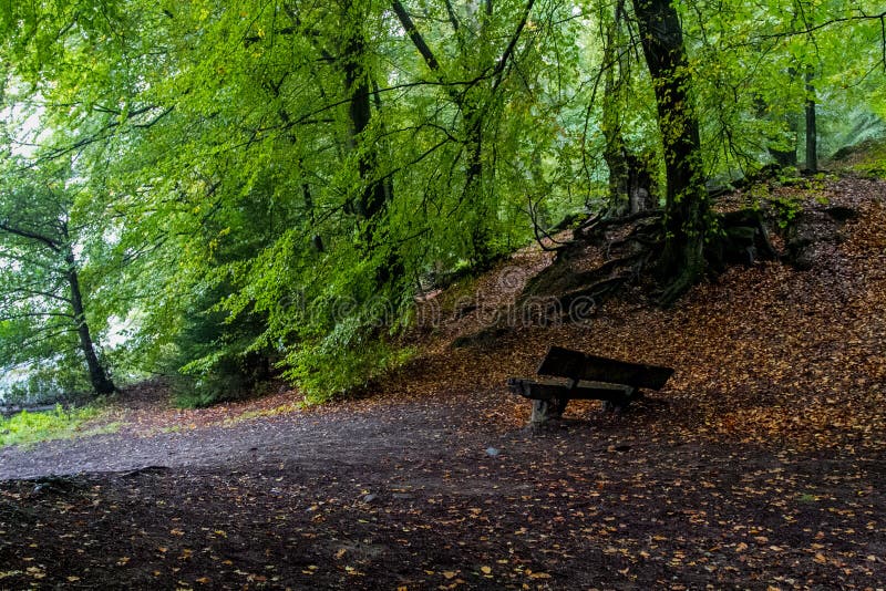 German Nature autumn park stock photo. Image of foliage - 49352270