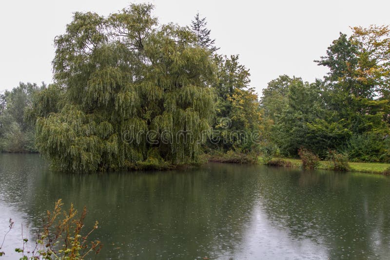 German Nature autumn park stock image. Image of forest - 50221455