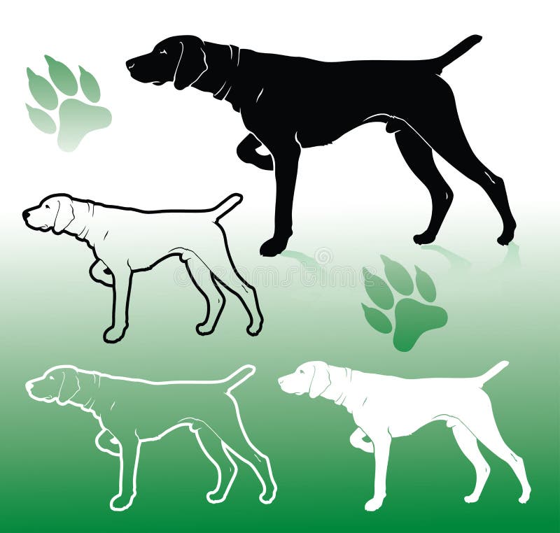 German Shorthaired Pointer Dog Vector Stock Vector - Illustration of ...