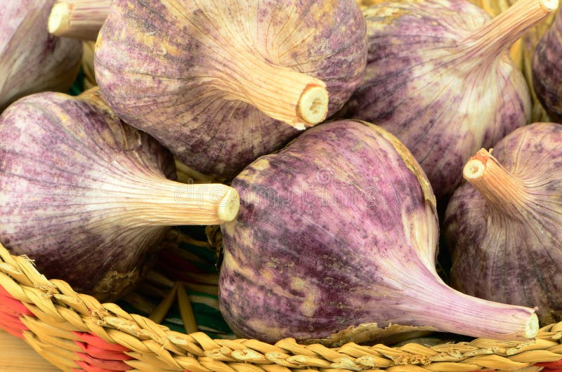 German Red stock image. Image of fresh, healthy, clove - 20516579