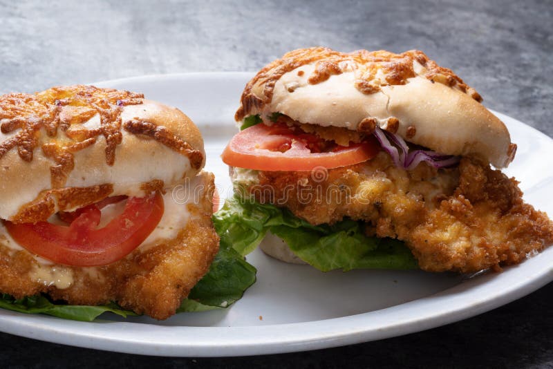 German schnitzel sandwich stock photo. Image of meat - 388993890