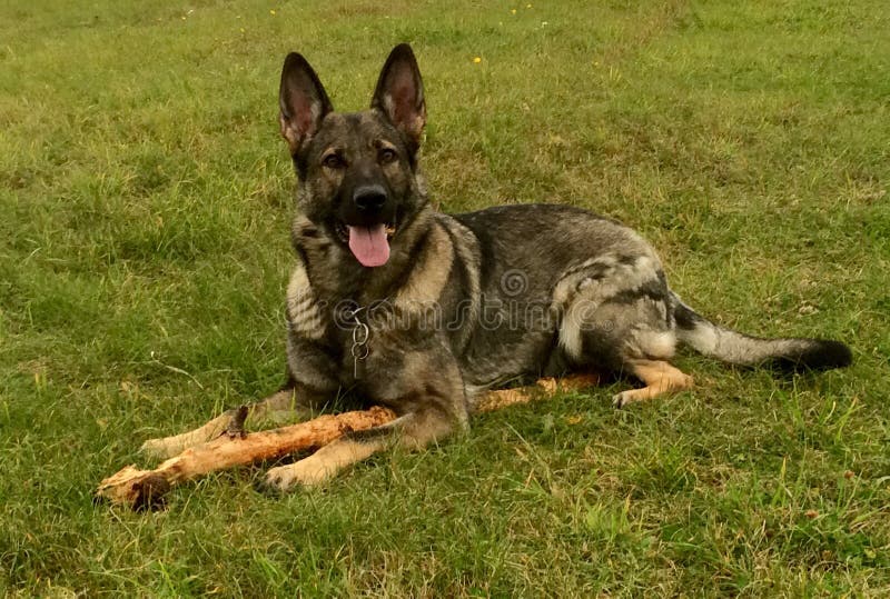 Birgit Pedersen (Bigan68) - Photographer profile