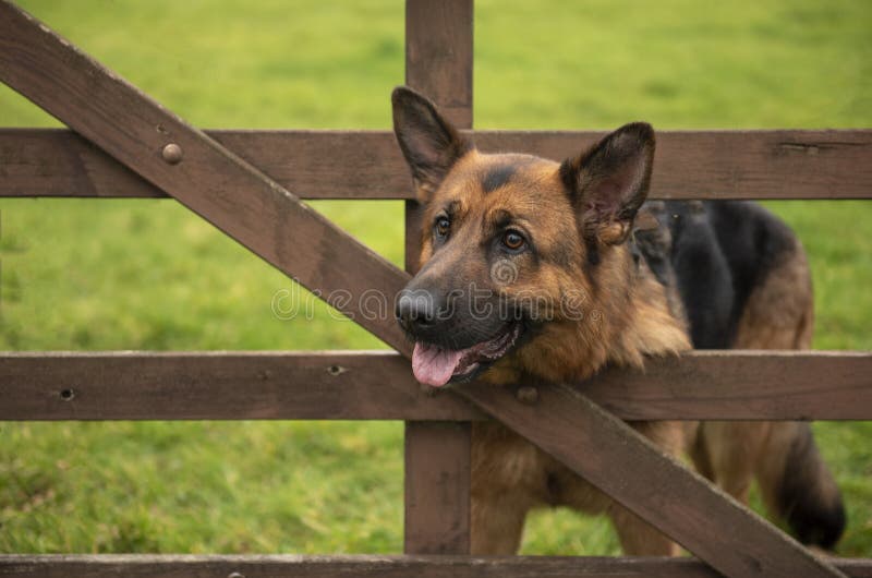 Shepard Gate Stock Photos - Free & Royalty-Free Stock Photos from ...