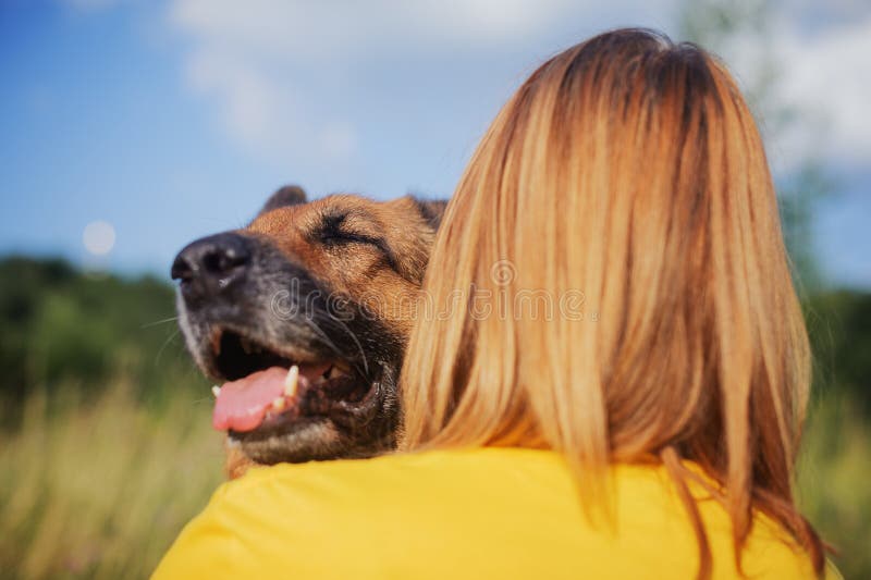 German Shepherd and a Girl - Friendly Hugs Stock Image - Image of ...