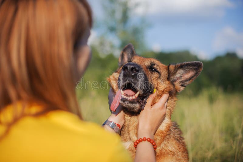 German shepherd and a girl stock photo. Image of animal - 268981336