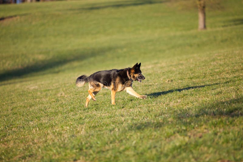 Hd Young German Stock Photos - Free & Royalty-Free Stock Photos from ...