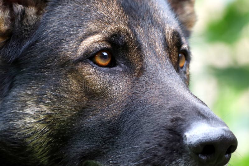 How To Determine My Stock Photos - Free & Royalty-Free Stock Photos ...