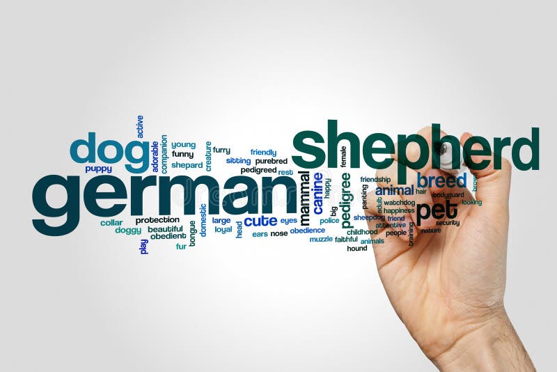 German Shepherd Word Cloud Concept Stock Illustration - Illustration of ...