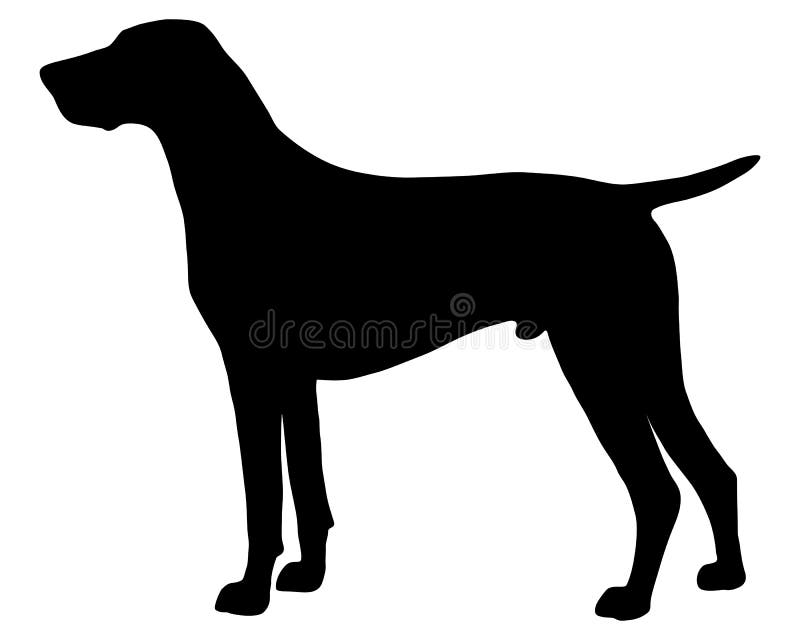 German Shorthaired Pointer Dog Vector Stock Vector - Illustration of ...