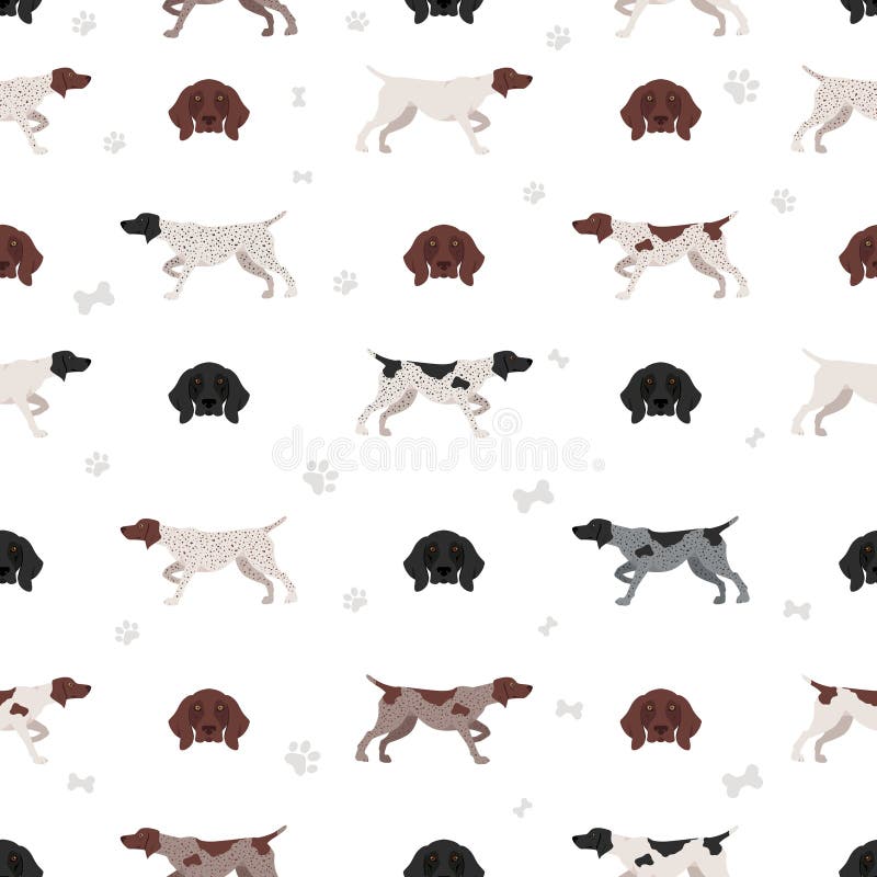 German Shorthaired Pointer Seamless Pattern. Different Poses, Coat ...