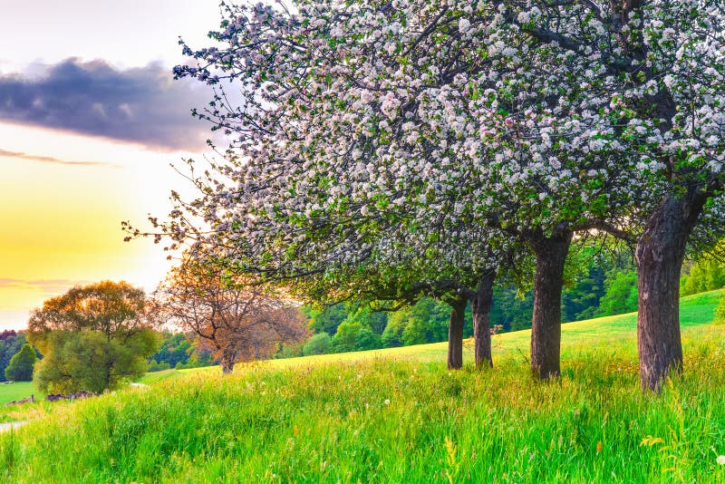 German Spring Countryside Landscape Stock Photo - Image of beauty ...