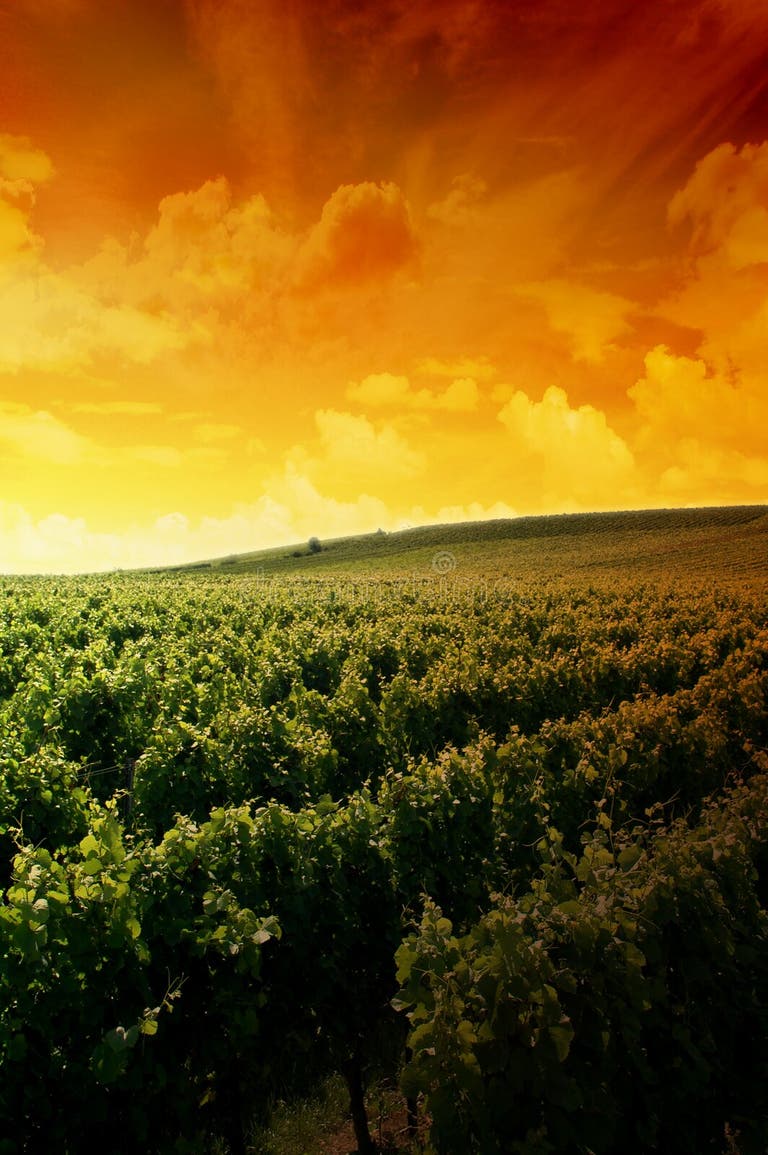 1,111 Rhe Veage Stock Photos - Free & Royalty-Free Stock Photos from ...