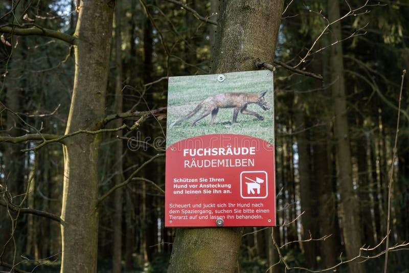 German Warning Sign for Dog with Generalized Demodectic Mange ...
