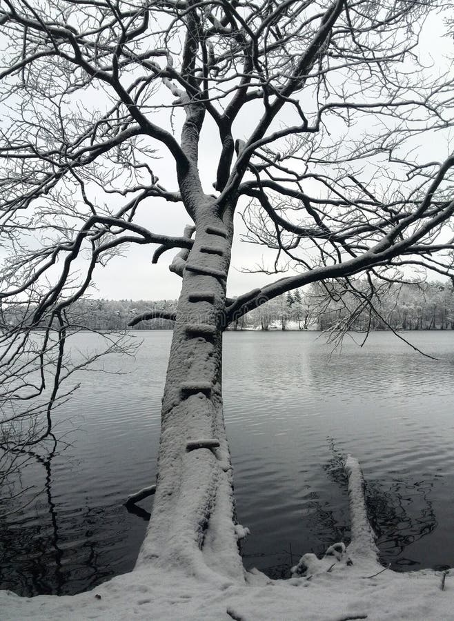 German Winter Landscape stock image. Image of brandenburg - 75952899