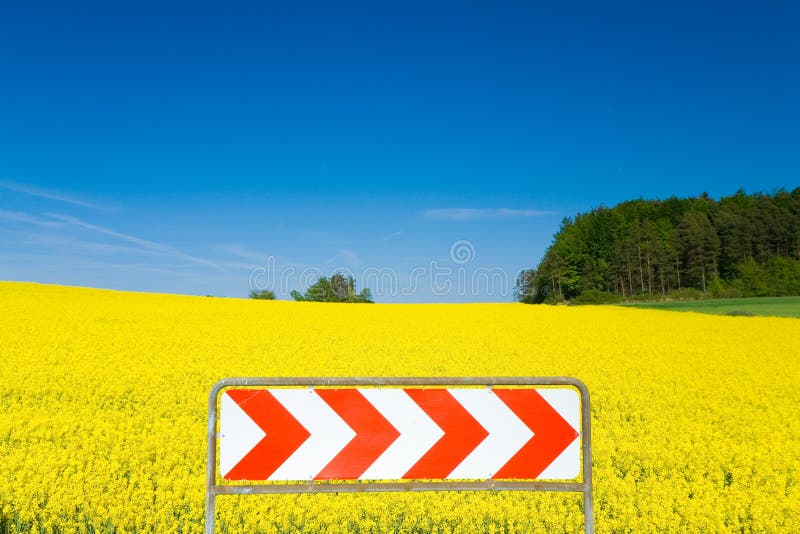 Germany, Bavaria, field stock photo. Image of outdoors - 57180200