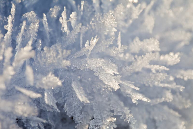 Germany, Bavaria, Snow Crystals, Close-up Stock Image - Image of frozen ...